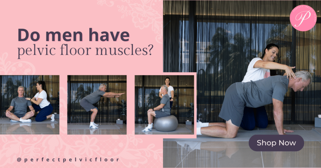 Do Men Have Pelvic Floor Muscles? - Perfect Pelvic Floor